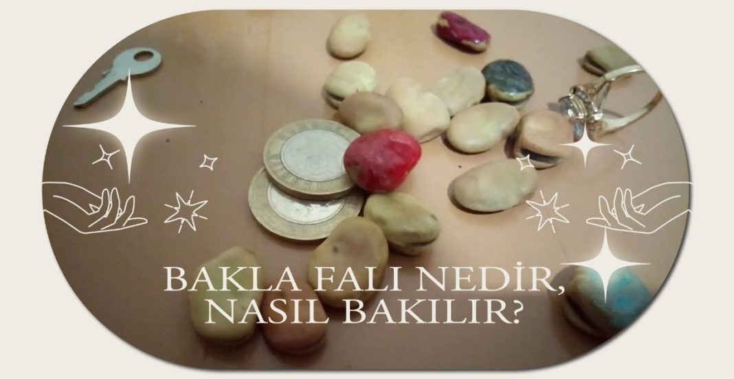 Bakla Falı Nedir, Nasıl Bakılır? - Fal Sepeti Blog